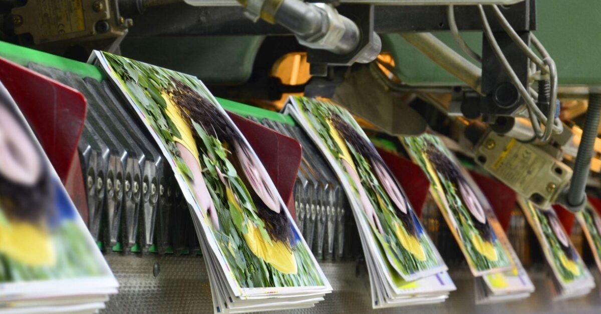 Commercial and Industrial Printing for Your Business - Everything You ...
